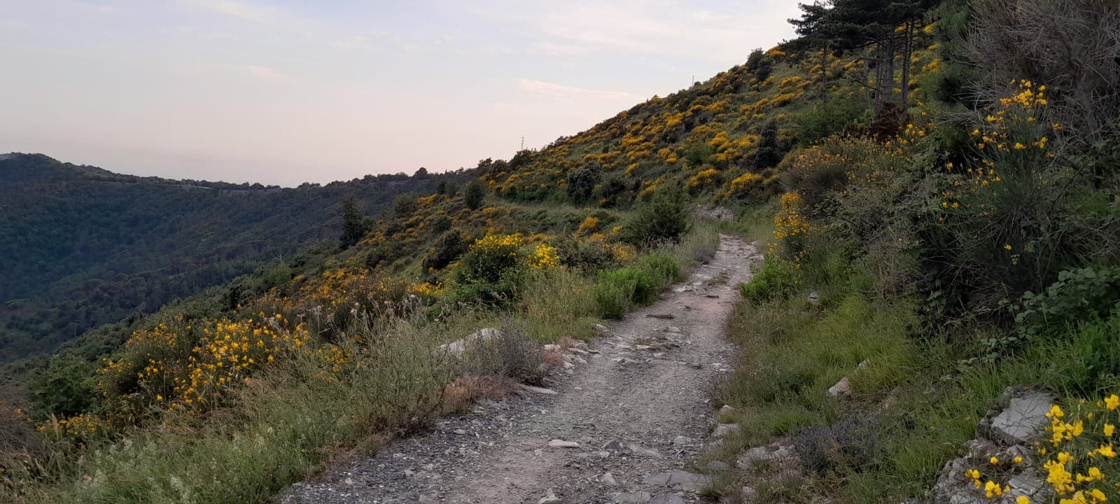 Genoa hiking trails, Righi and Forts