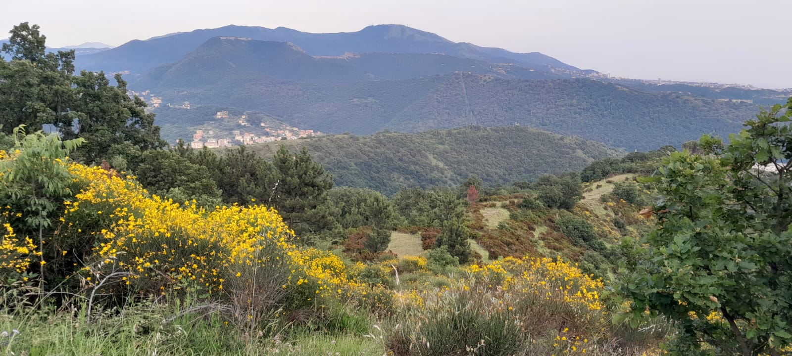 Genoa hiking trails, Righi and Forts