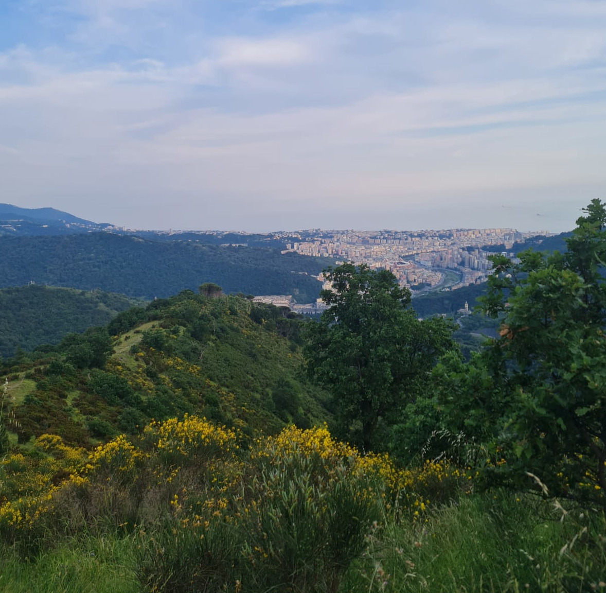Forti di Genova e sentieri del Righi